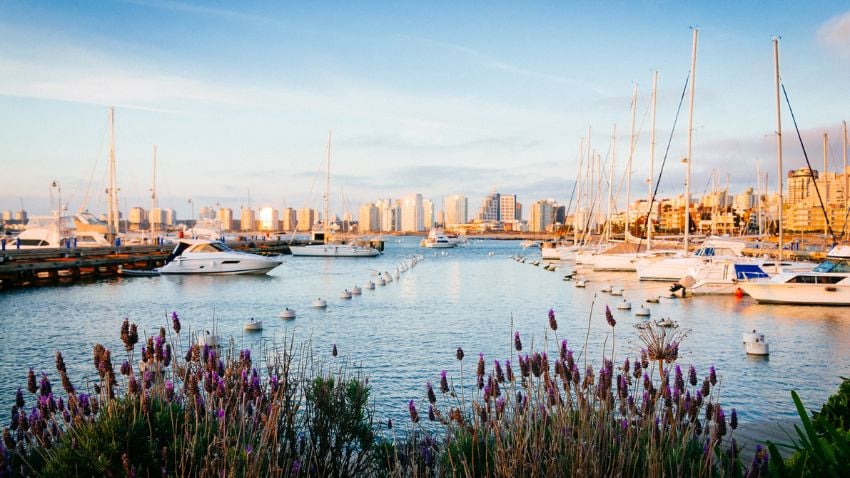 Life As An Expat In Uruguay: Balancing Adventure And Security