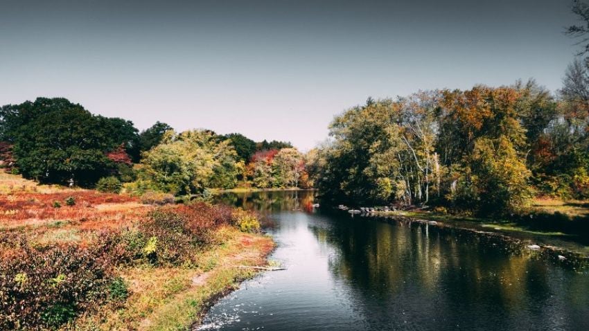 Liberland: An Aspiring Microstate Of Freedom
